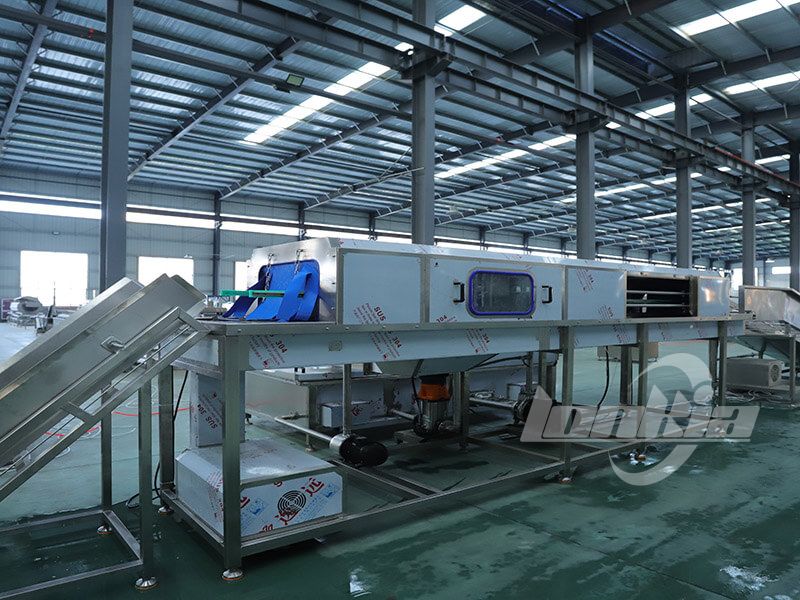 The Role of Crates Washing Machines in Meat Processing Plants - LONKIA ...